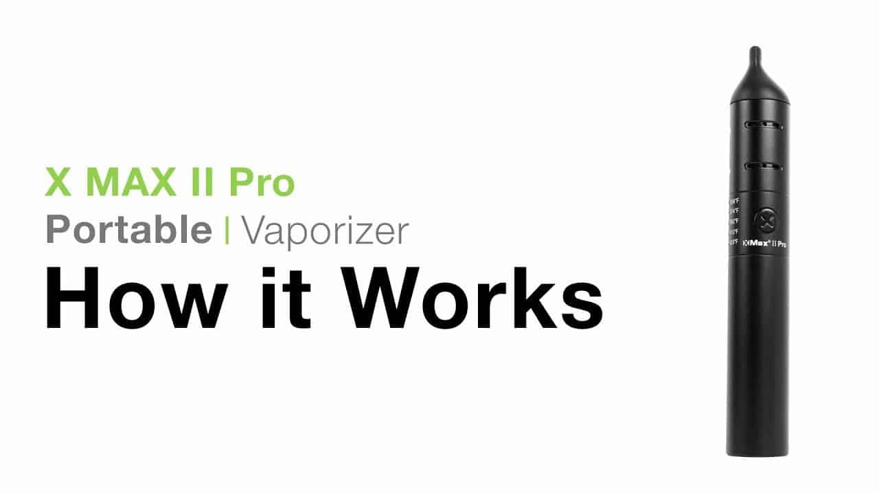 XMAX V2 Pro Vaporizer Test & Preisvergleich Der beste Vaporizer im Test?